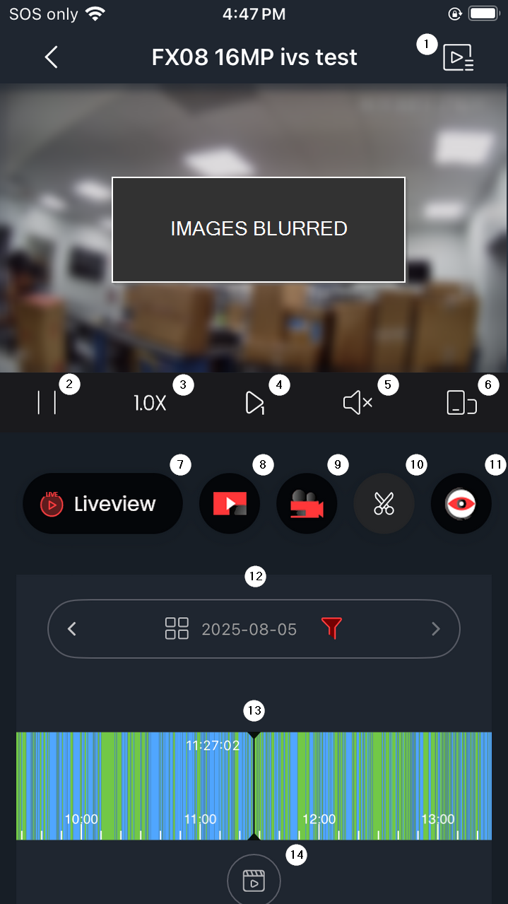IC View Pro - Playback – ICRealtime