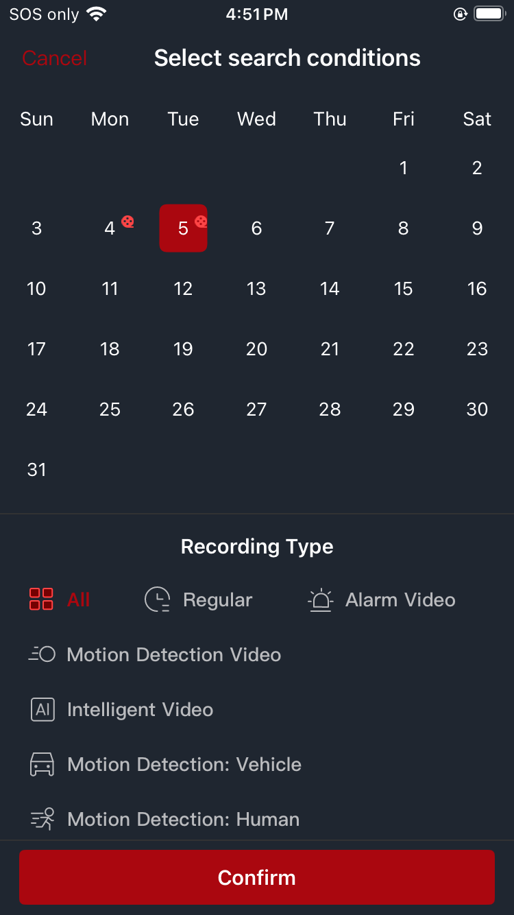 IC View Pro - Playback – ICRealtime