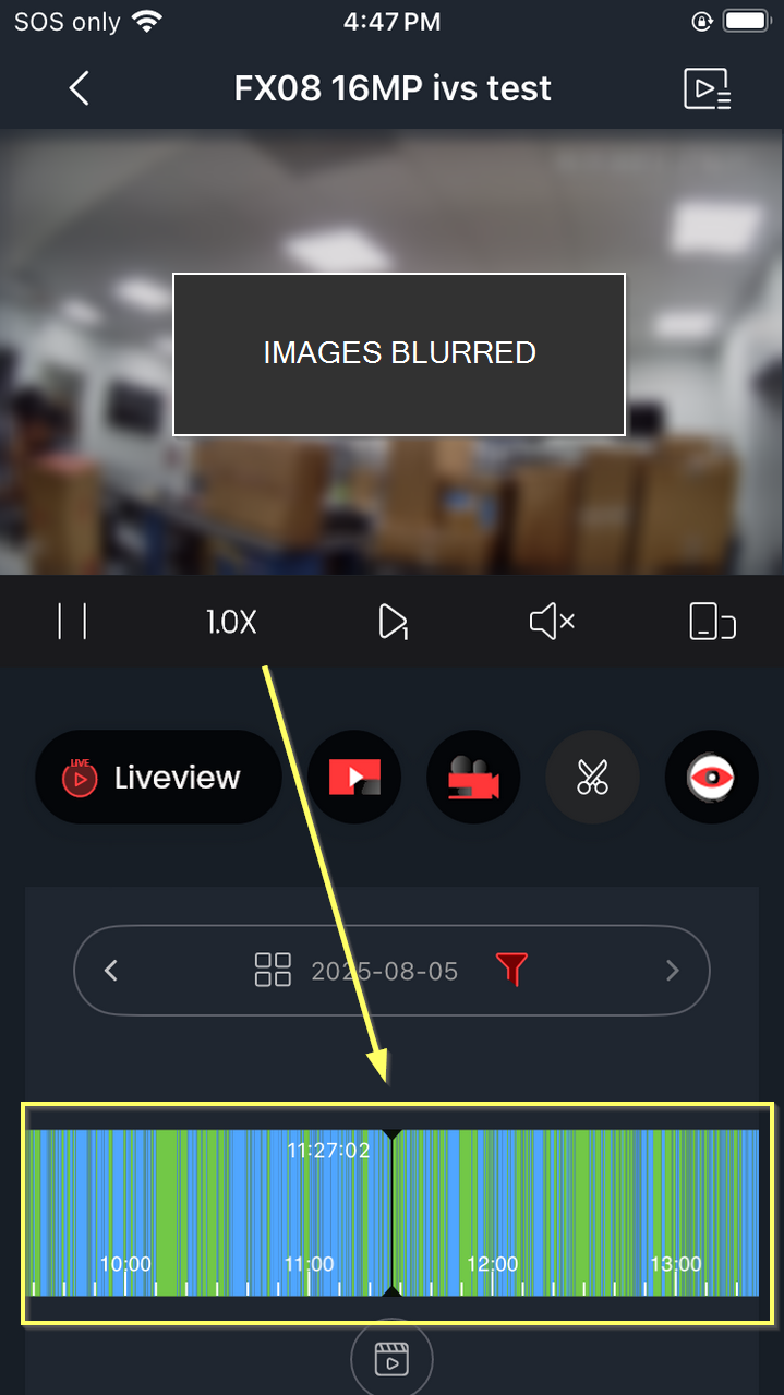 IC View Pro - Playback – ICRealtime
